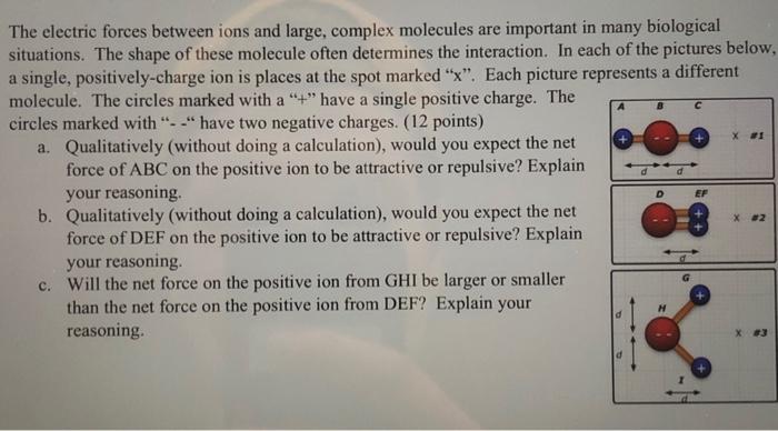 Solved The electric forces between ions and large, complex | Chegg.com