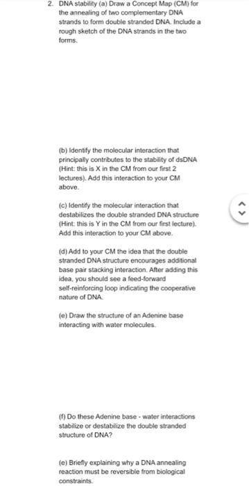 2. DNA stability (a) Draw a Concept Map (CM) for the | Chegg.com
