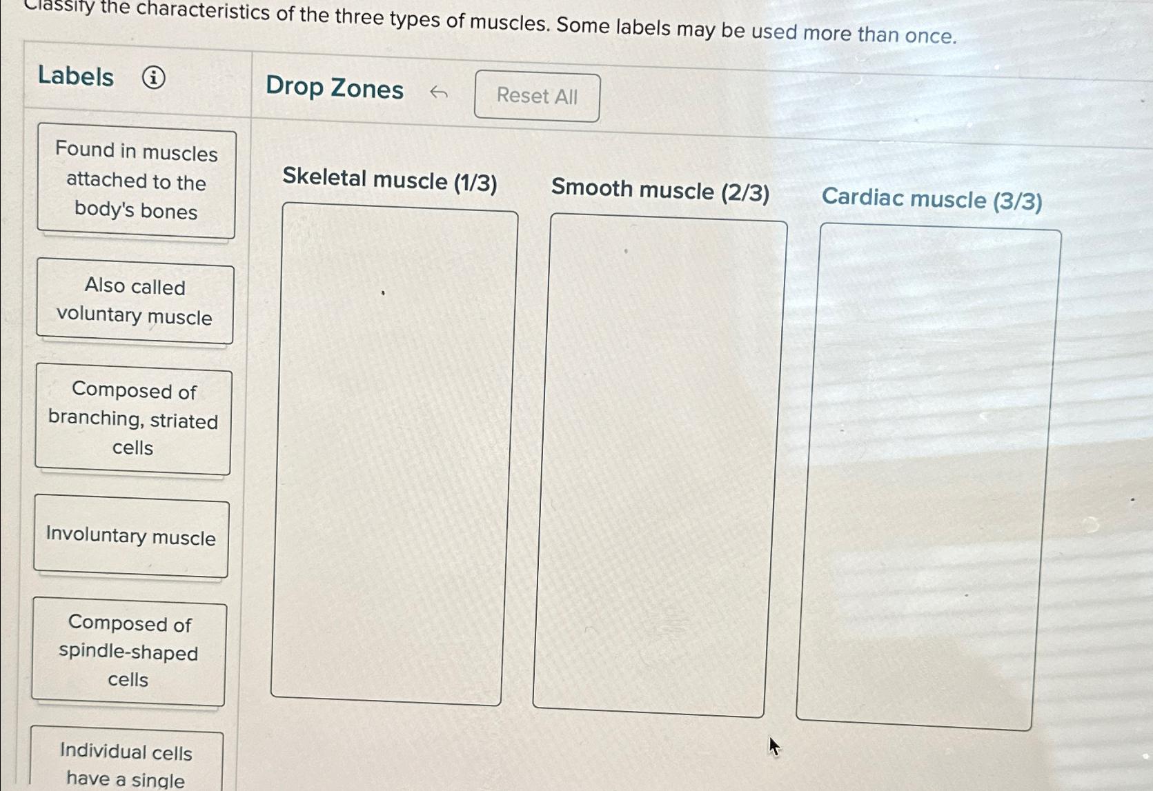 Solved Classity the characteristics of the three types of | Chegg.com