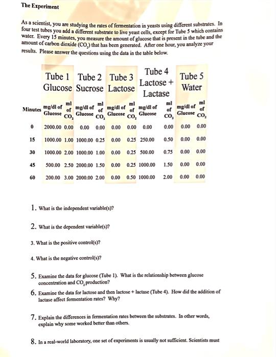 Solved The Experiment four test tubes you add a different | Chegg.com