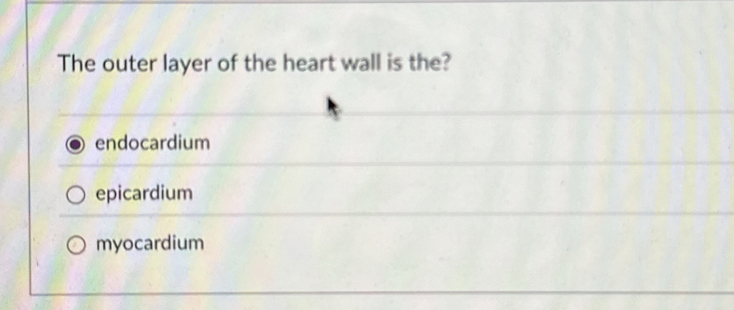 Solved The outer layer of the heart wall is | Chegg.com