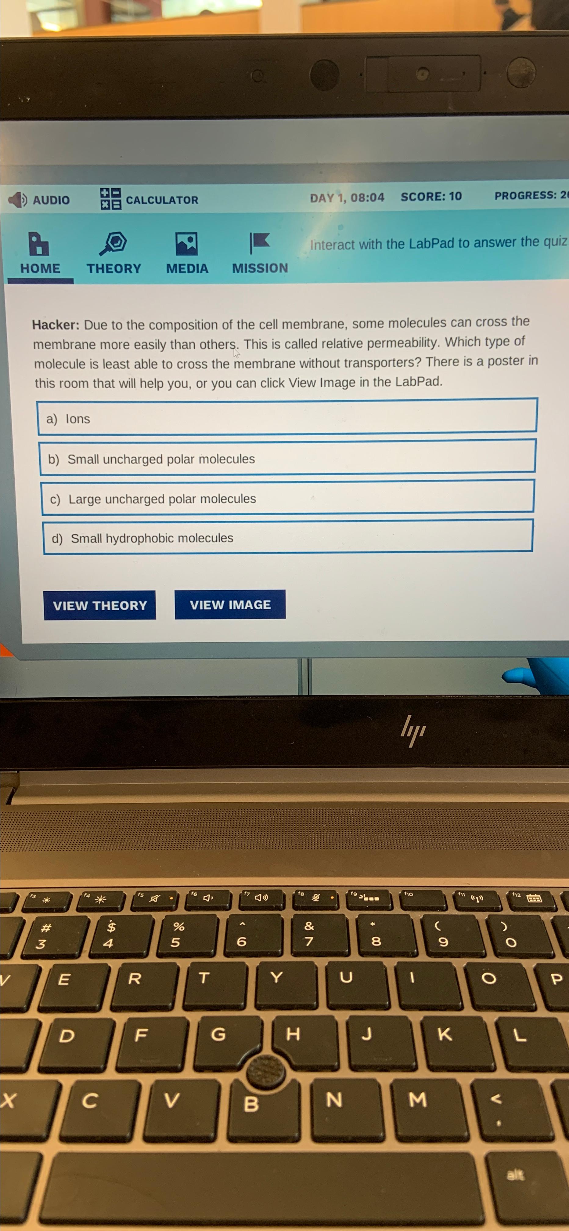 Solved Hacker: Due to the composition of the cell membrane, | Chegg.com