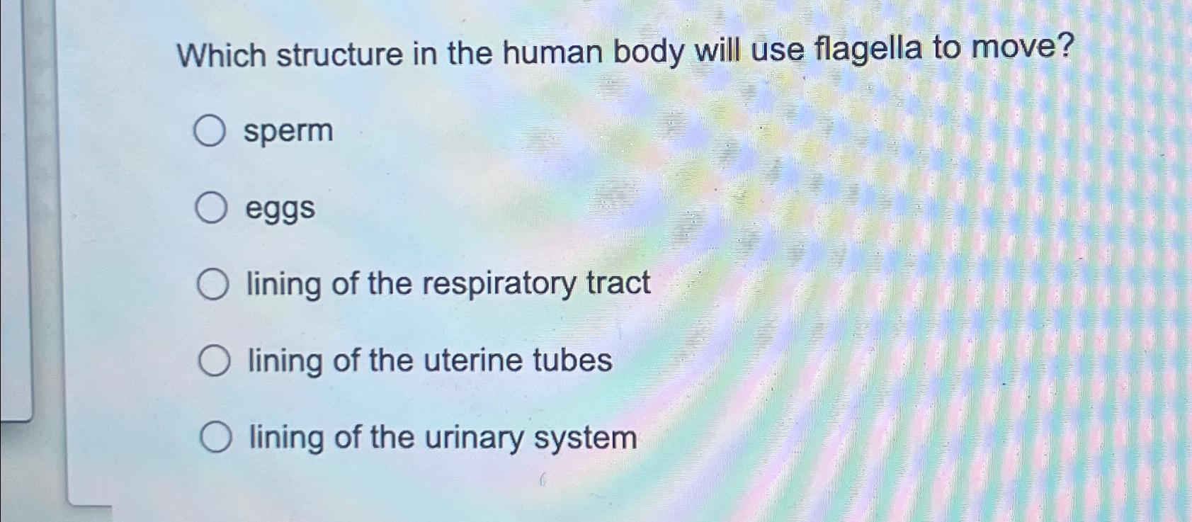 Solved Which structure in the human body will use flagella | Chegg.com