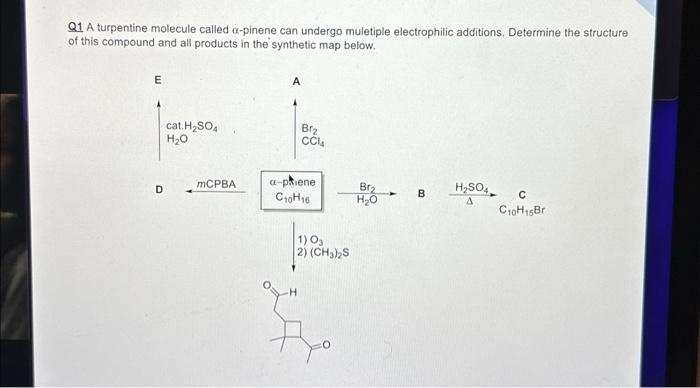 Solved Q1 A turpentine molecule called α-pinene can undergo | Chegg.com