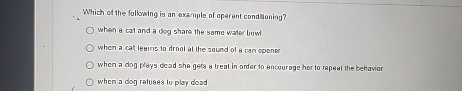Solved Which of the following is an example of operant | Chegg.com