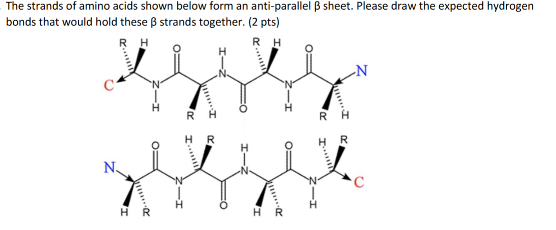 Solved Please draw the expected hydrogen bonds that would | Chegg.com