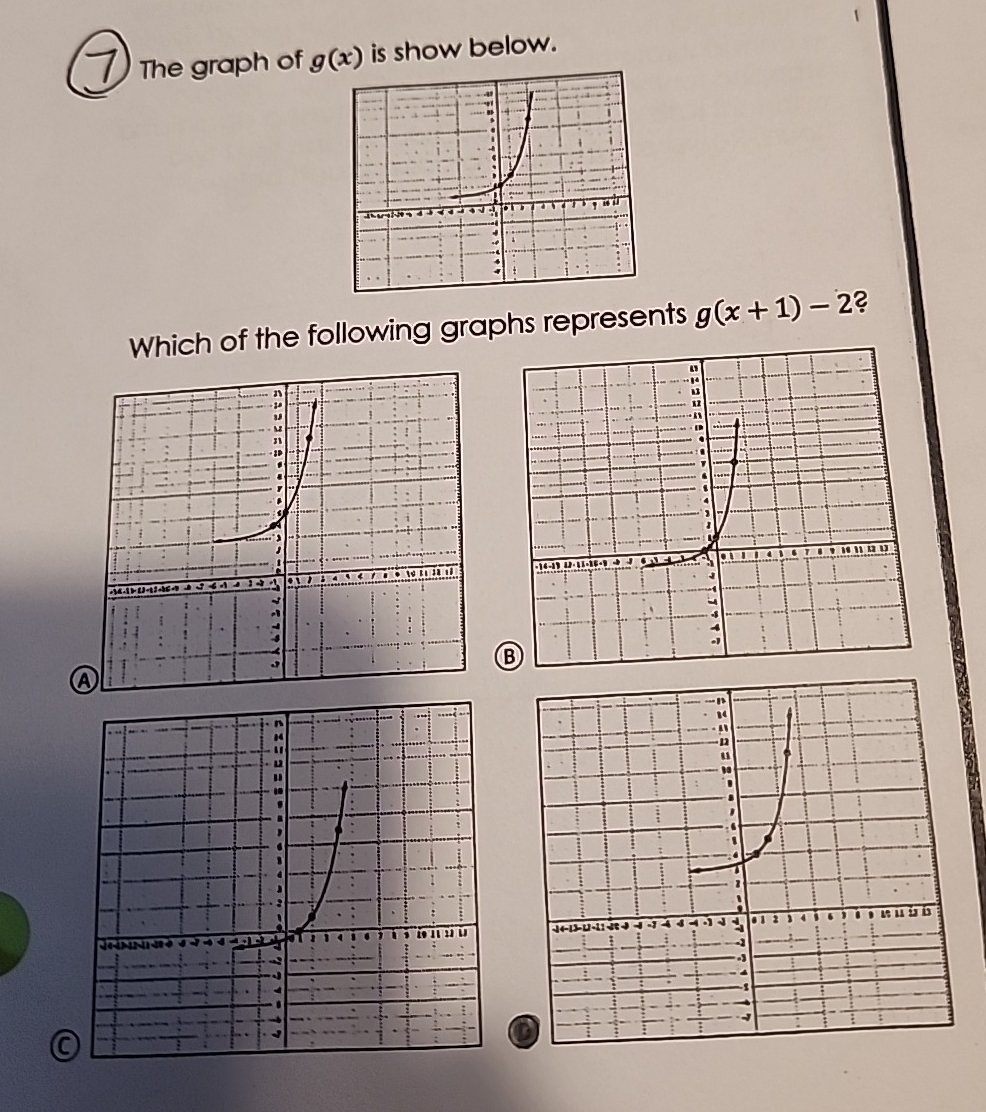 Solved The graph of g(x) ﻿is show below.Which of the | Chegg.com