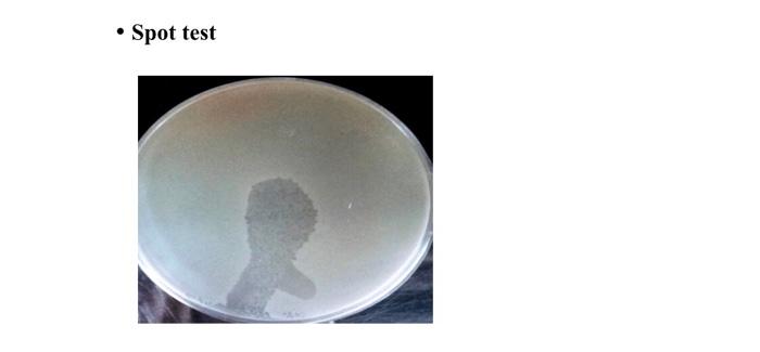 Solved Spot test | Chegg.com