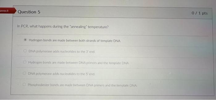 Solved Question 5 0/1 pts in PCR. what happens during the | Chegg.com