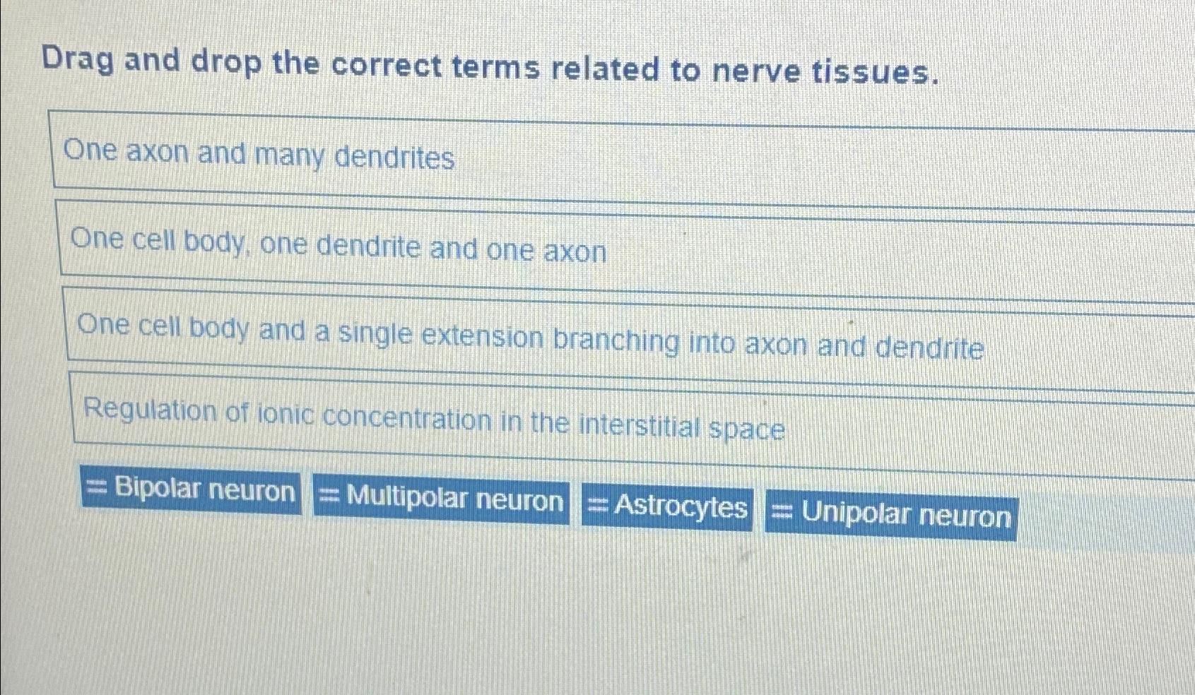 Solved Drag and drop the correct terms related to nerve | Chegg.com