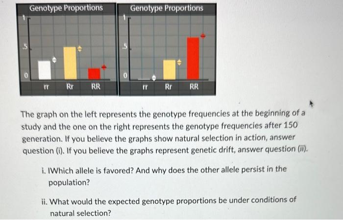 Solved The graph on the left represents the genotype | Chegg.com