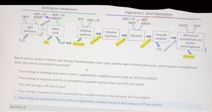 Solved Based on the model of Matter and Energy | Chegg.com