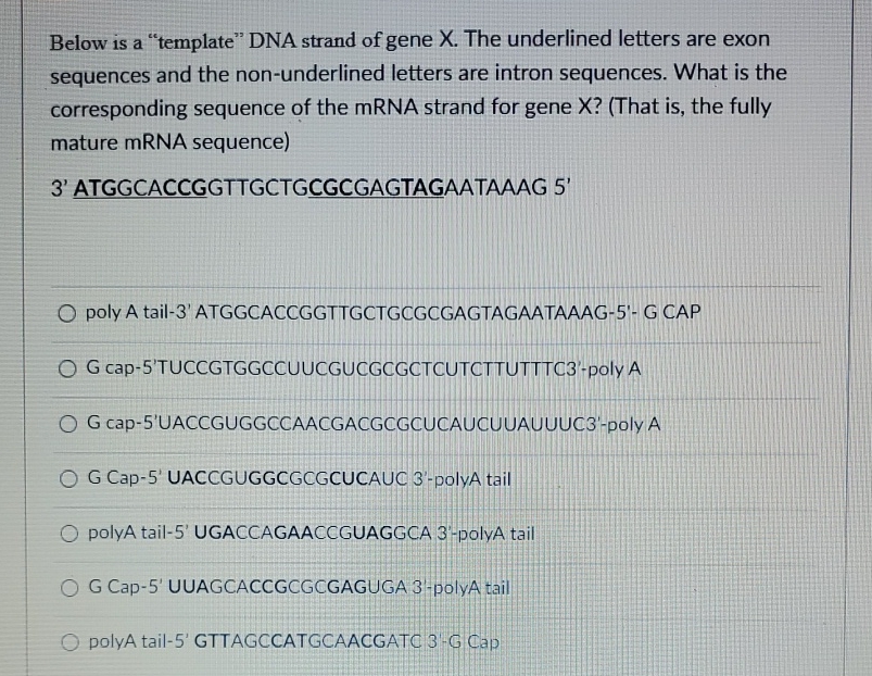 Solved Below is a "template" DNA strand of gene X. ﻿The | Chegg.com