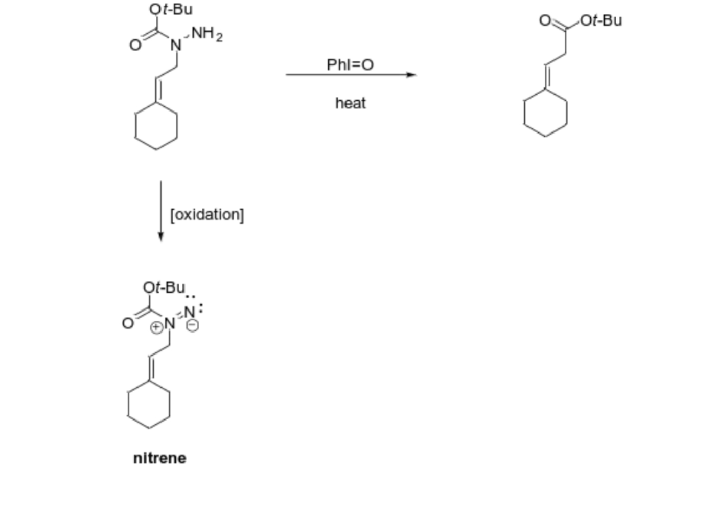 Draw the mechanism from the nitrene to the final | Chegg.com