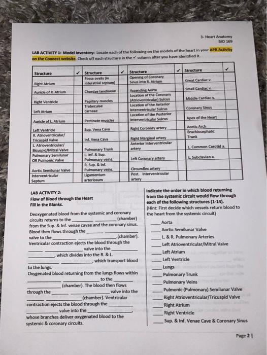 Solved 3- Heart Anatomy BIO 169 LAB ACTIVITY 1: Model | Chegg.com