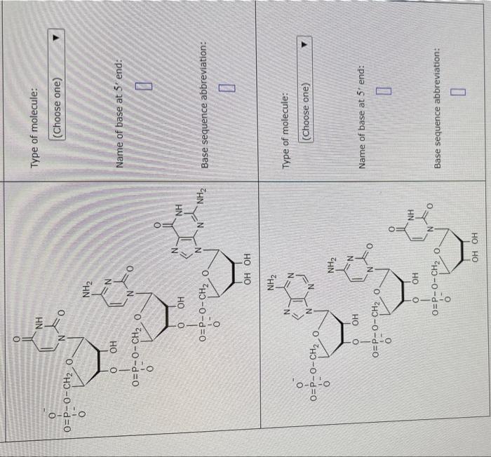 Solved For each molecule in the table below: - Classify the | Chegg.com