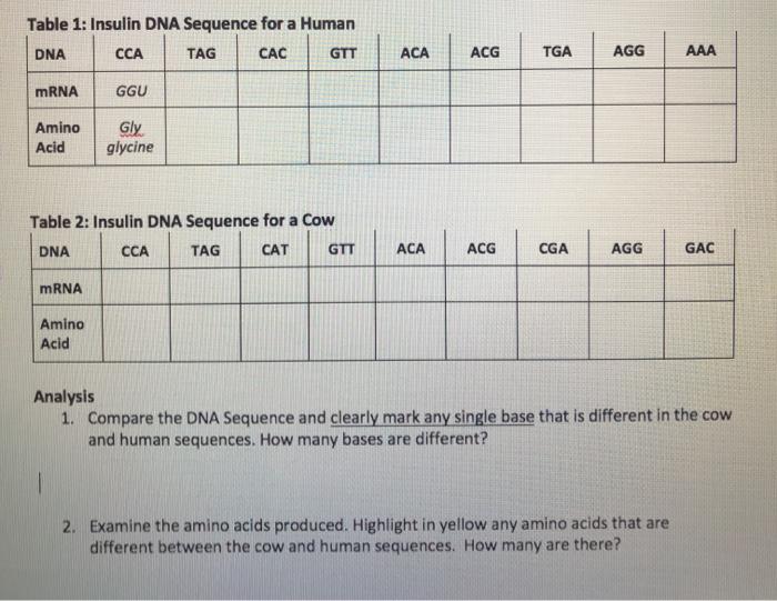 Solved Below are two partial sequences of DNA bases (shown | Chegg.com