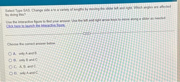Solved Select Type SAS. Change side a to a variety of | Chegg.com
