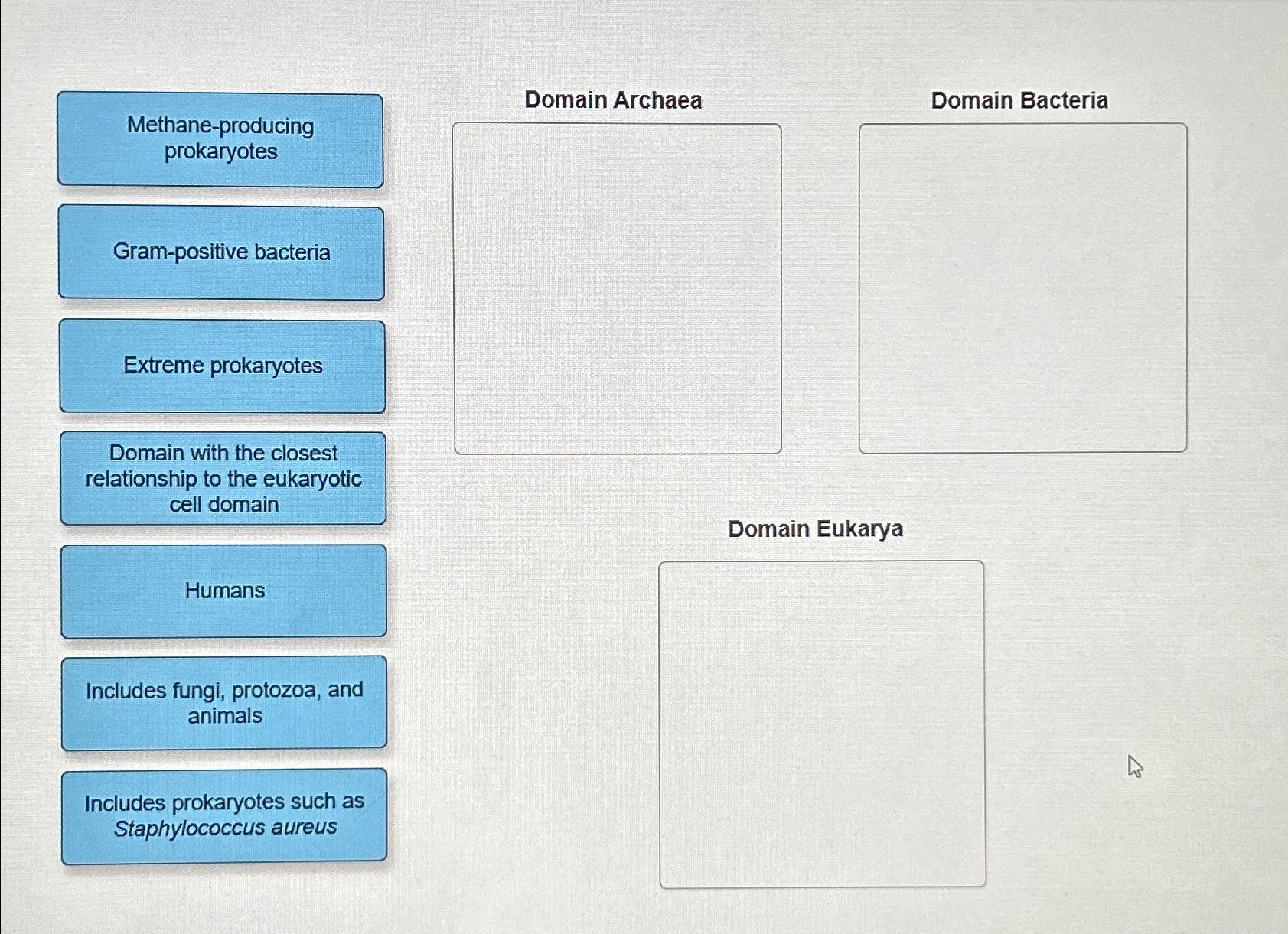 Solved Domain ArchaeaMethane-producing | Chegg.com
