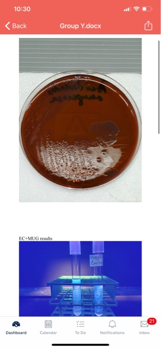 Part III. Questions (5 points) Directions: Answer the | Chegg.com