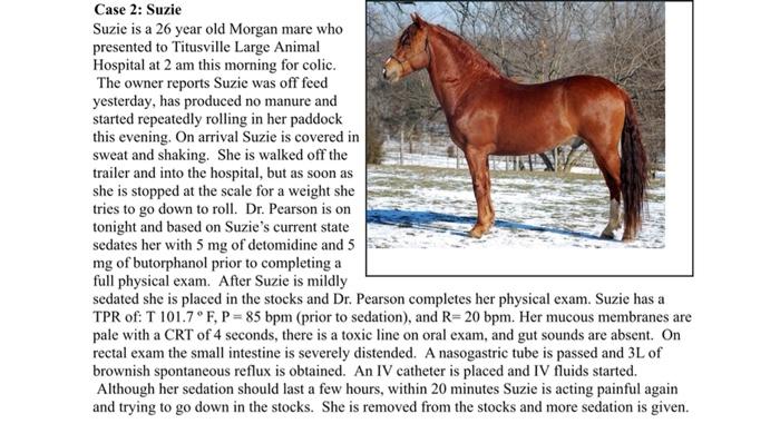 Solved Case 2: Suzie Suzie is a 26 year old Morgan mare who | Chegg.com
