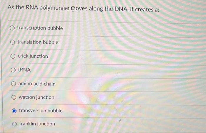 Solved As the RNA polymerase moves along the DNA, it creates | Chegg.com