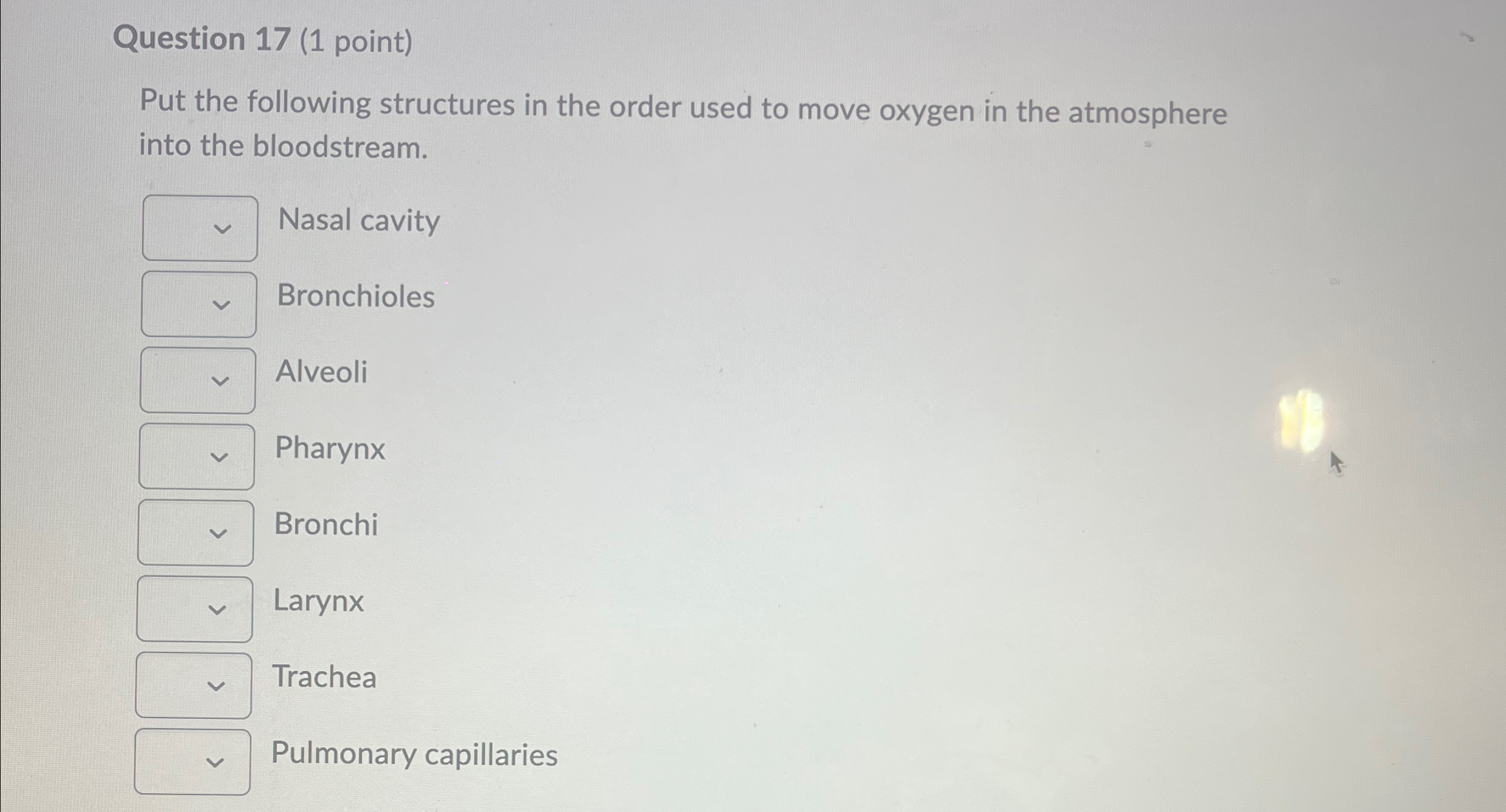 Solved Question 17 (1 ﻿point)Put the following structures in | Chegg.com