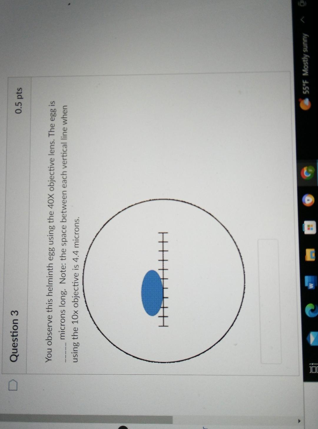 Solved You observe this helminth egg using the 40X objective | Chegg.com