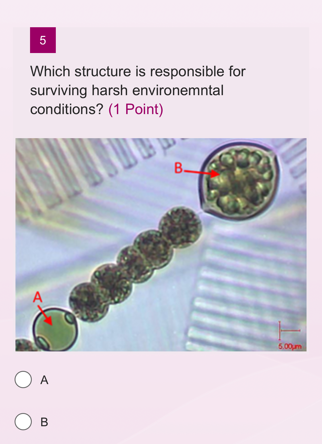 Solved 5Which structure is responsible for surviving harsh | Chegg.com