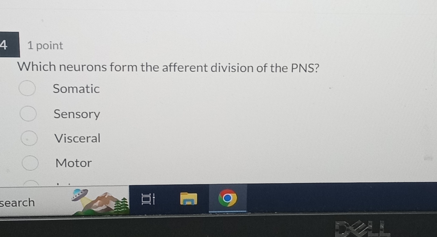 Solved 41 ﻿pointWhich neurons form the afferent division of | Chegg.com