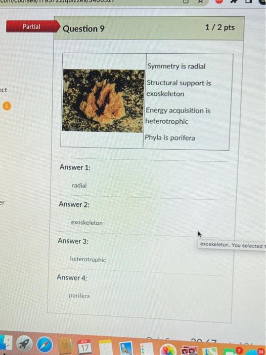 Solved Answer 1: radial Answer 2: exoskeleton Answer 3 : | Chegg.com