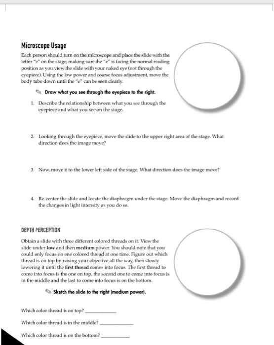 Microscope Usage Each person should turn on the | Chegg.com