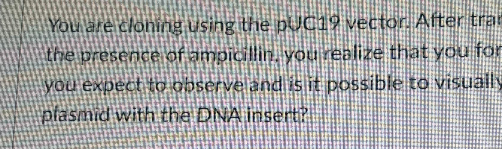 Solved You are cloning using the pUC19 ﻿vector. After trar | Chegg.com