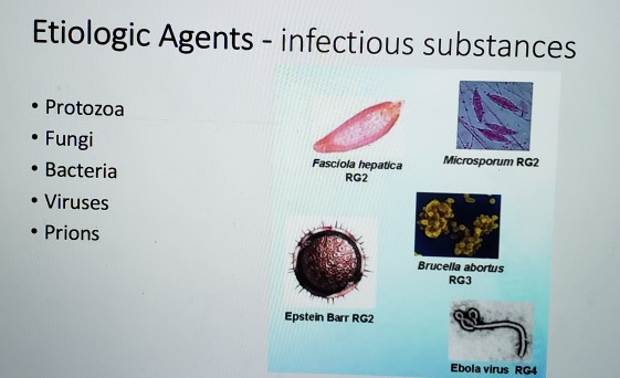 Solved Etiologic Agents - infectious substances Microsporum | Chegg.com