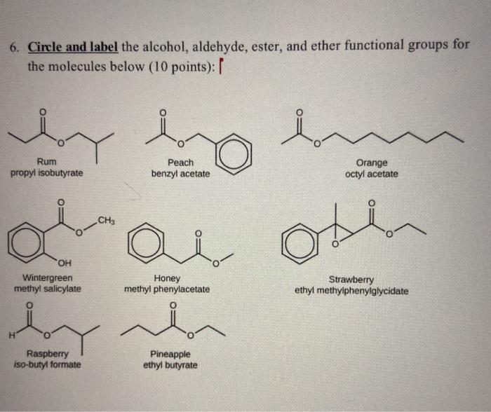 Circle and label the alcohol, aldehyde, ester, and | Chegg.com