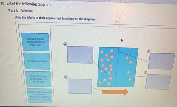 Solved 10. Label the following diagram: Part A - Diffusion | Chegg.com