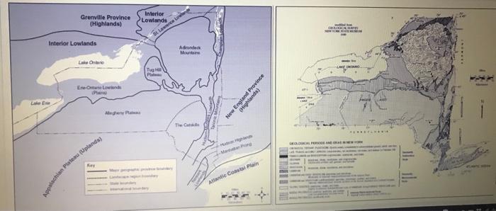 Solved Lesson D:Locating Index Fossils in NYS GEOLOGIC | Chegg.com