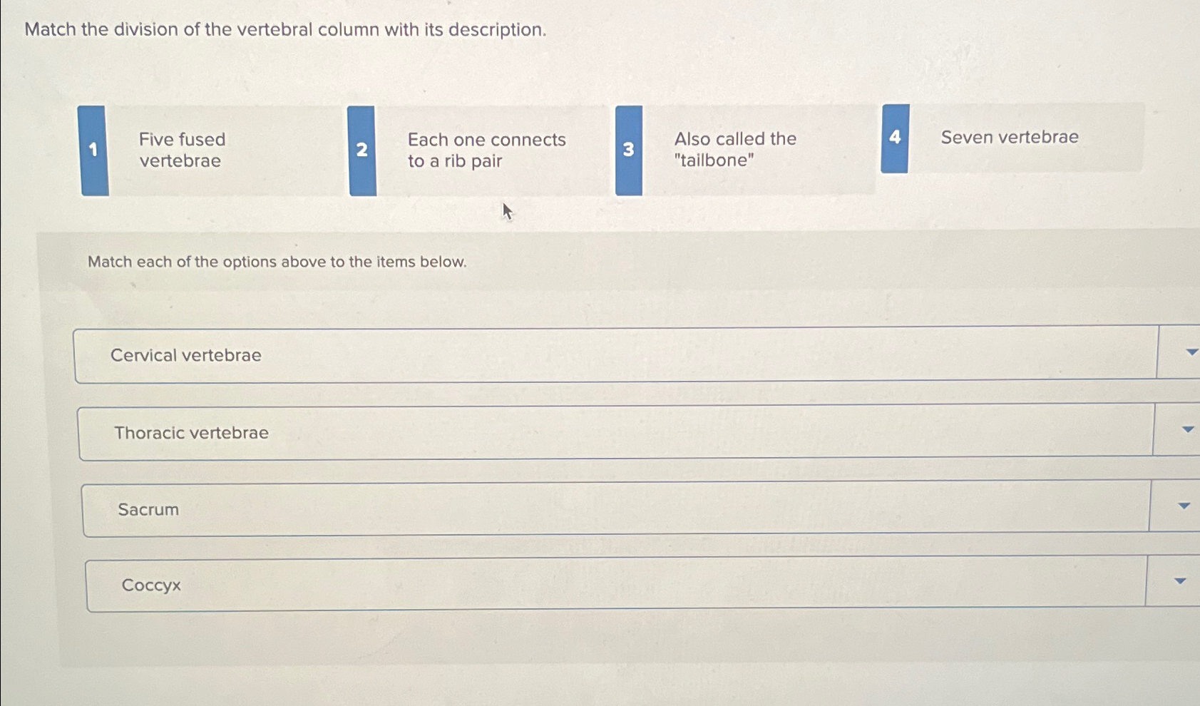 Solved Match the division of the vertebral column with its | Chegg.com