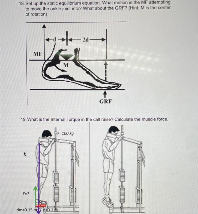 Solved 1. Describe the difference between Force and Torque. | Chegg.com