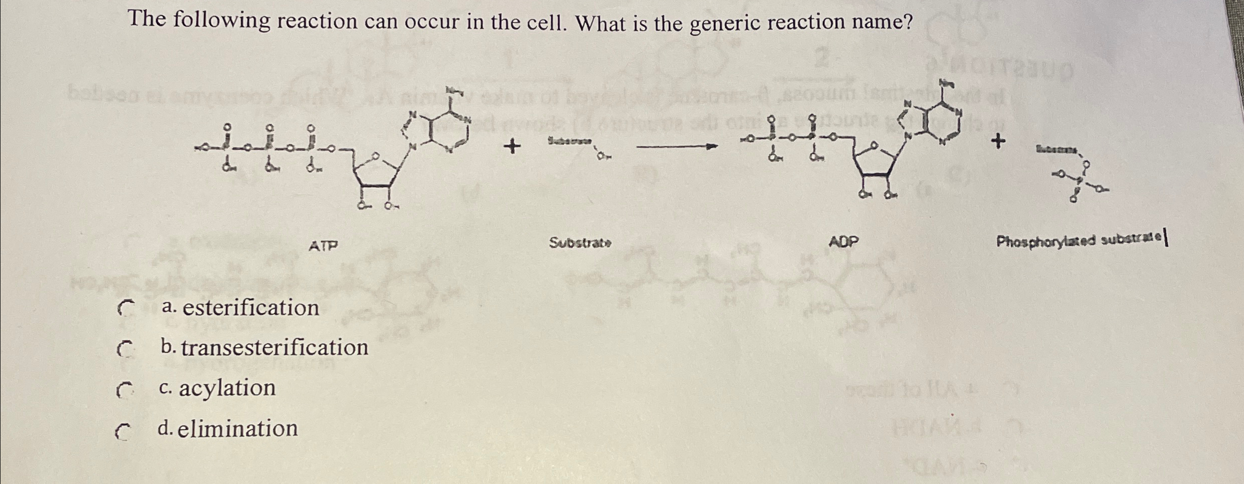 Solved The following reaction can occur in the cell. What is | Chegg.com