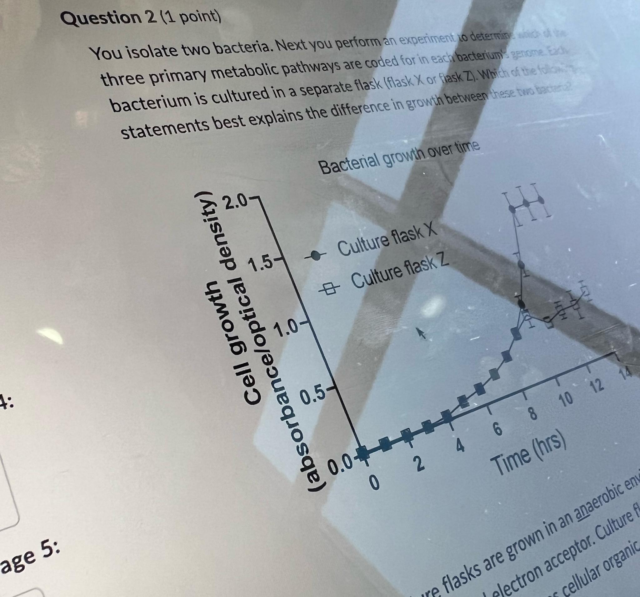 Solved Question 2 (1 ﻿point)You isolate two bacteria. Next | Chegg.com