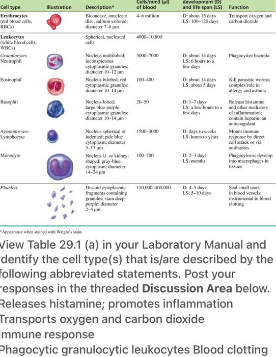 solved-illustration-cells-mm3-1-of-blood-46-million-chegg