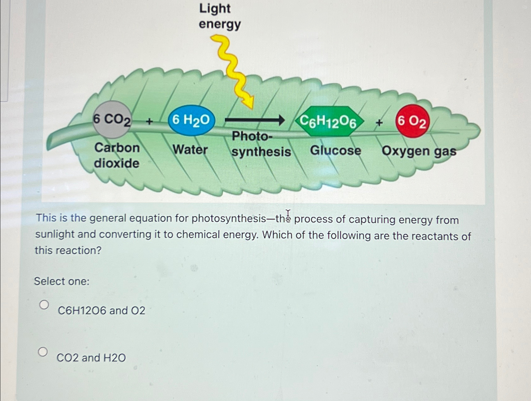 Solved This is the general equation for photosynthesis-th | Chegg.com