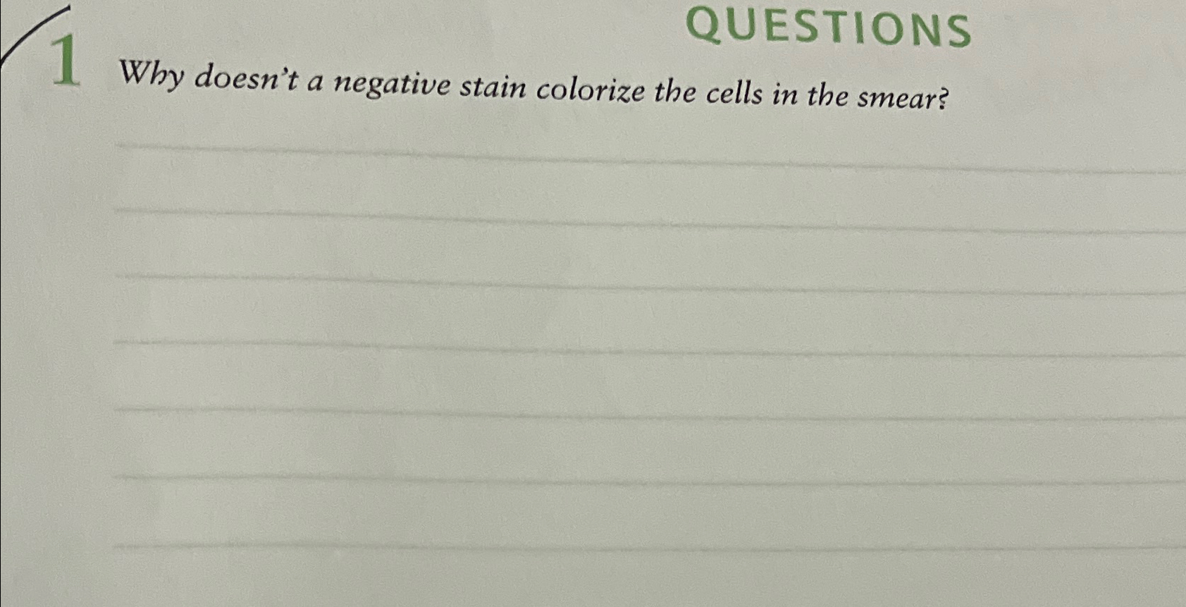 Solved QUESTIONS1 Why doesn't a negative stain colorize the | Chegg.com Solved QUESTIONS1 Why doesn't a negative stain colorize the | Chegg.com
