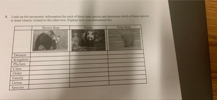 Solved 8. Look up the taxonomic information for each of | Chegg.com