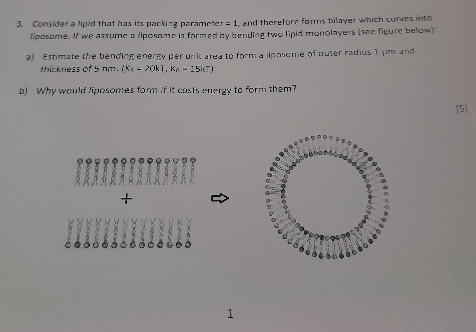 Solved 3 Consider A Lipid That Has Its Packing Parameter
