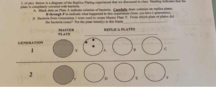 2. (4 pts) Below is a diagram of the Replica Plating | Chegg.com