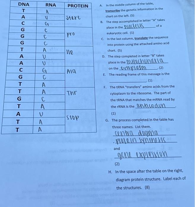 Solved A. In the middle column of the table, transcribe the | Chegg.com