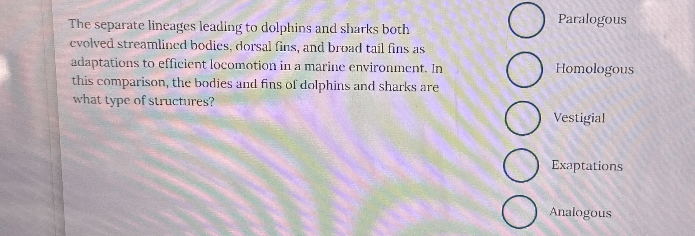 Solved The separate lineages leading to dolphins and sharks | Chegg.com