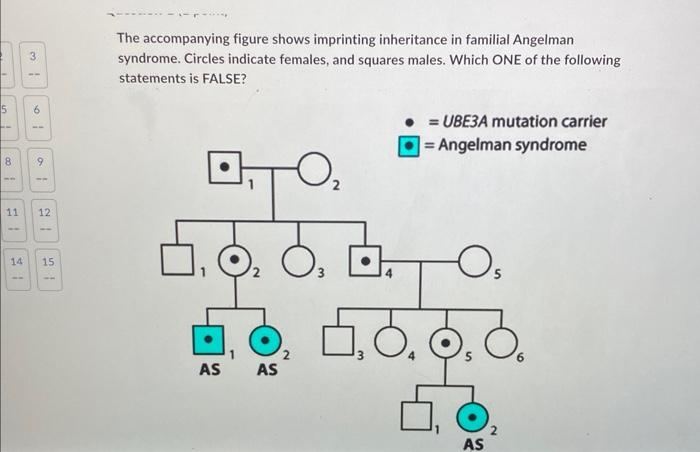 The accompanying figure shows imprinting inheritance | Chegg.com